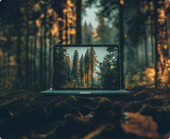 Platforma | Deeplai | TimberID