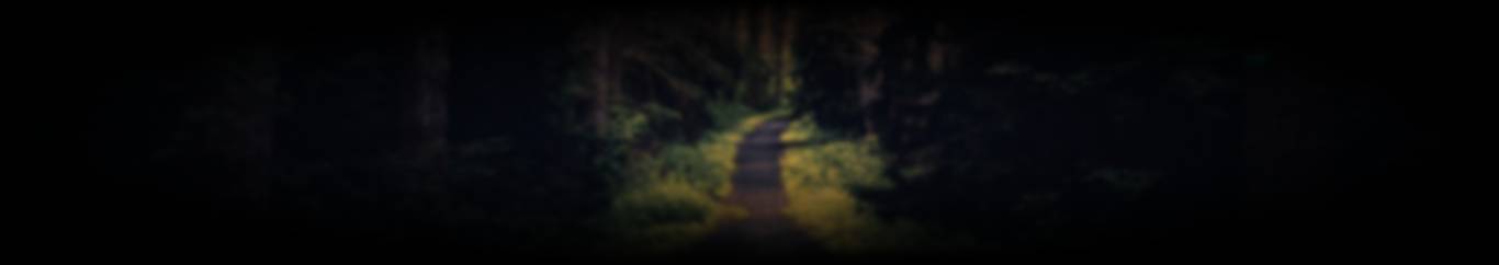 EUDR | Deeplai | TimberID